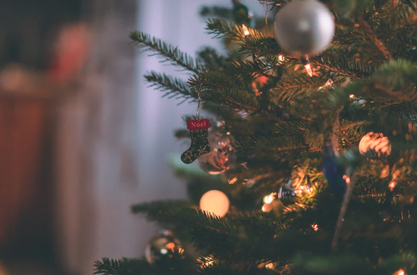 Home - Sutton Council