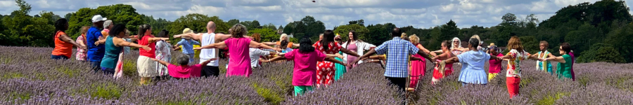 Collaborator Profiles - Sutton STEAMS Ahead - sutton.gov.uk