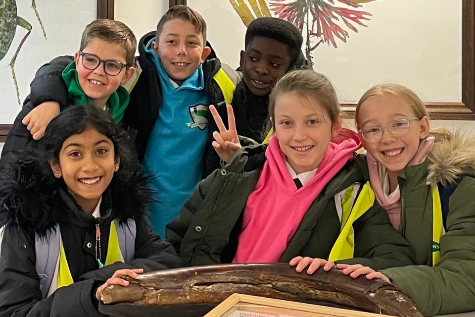 High View School Wins Natural History Museum - Sutton STEAMS Ahead ...